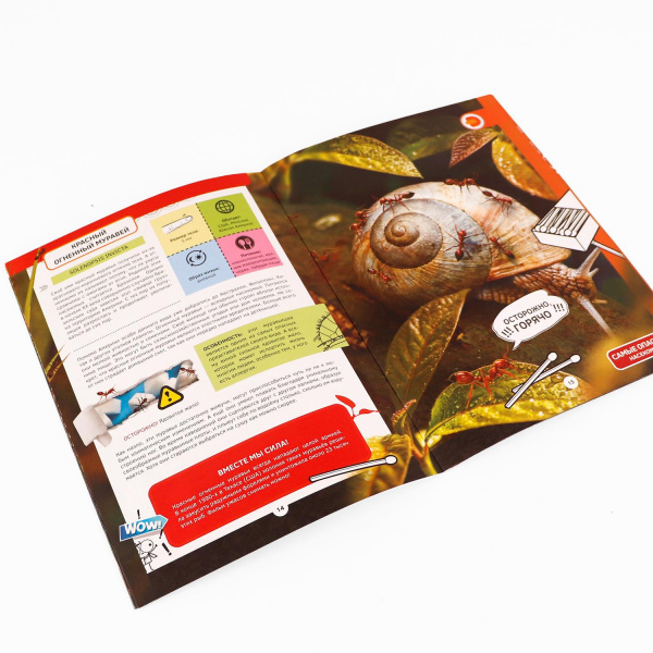 4D книга «Знакомство с насекомыми и другими членистоногими», Devar ...